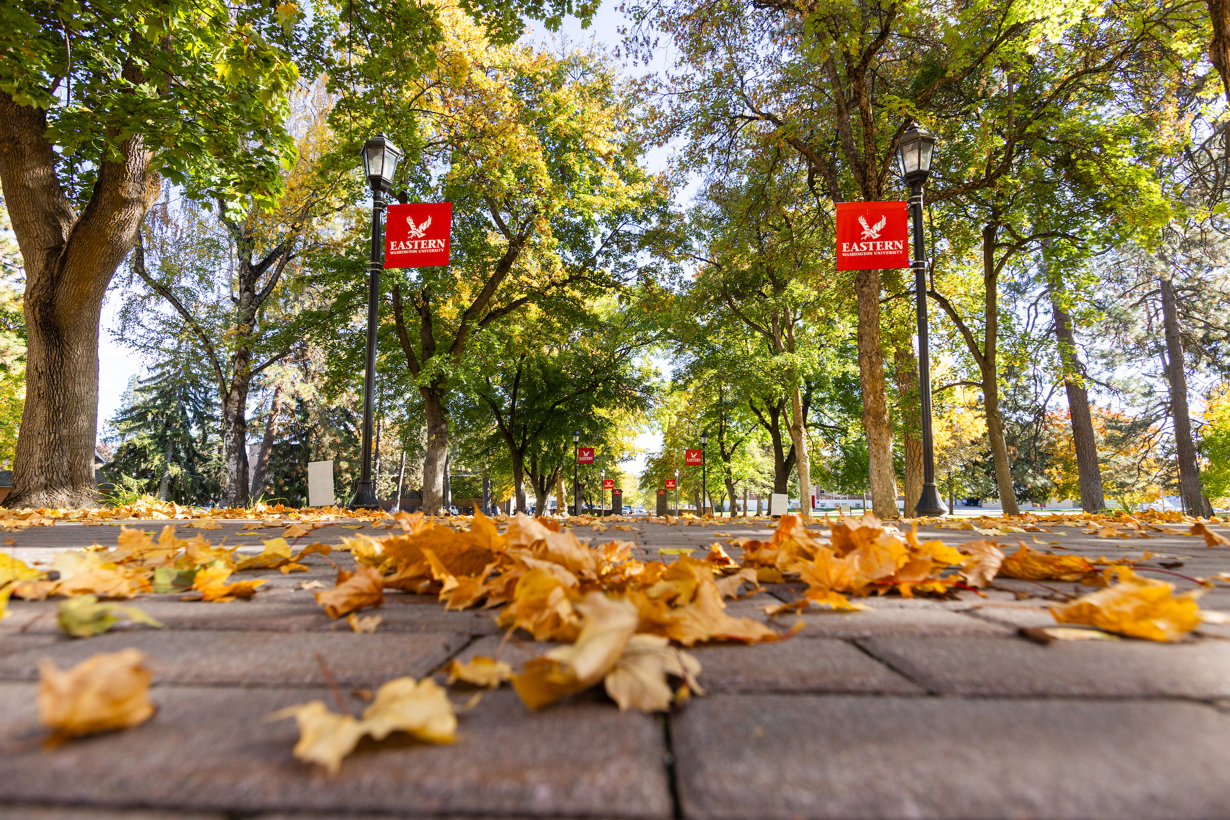 Make an Appointment - Career Center - EWU - The Region's Polytechnic